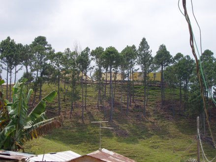 Juncalito, Jánico, Santiago, Republica Dominicana.