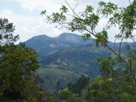 Juncalito, Jánico, Santiago, Republica Dominicana.