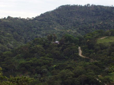 Juncalito, Jánico, Santiago, Republica Dominicana.